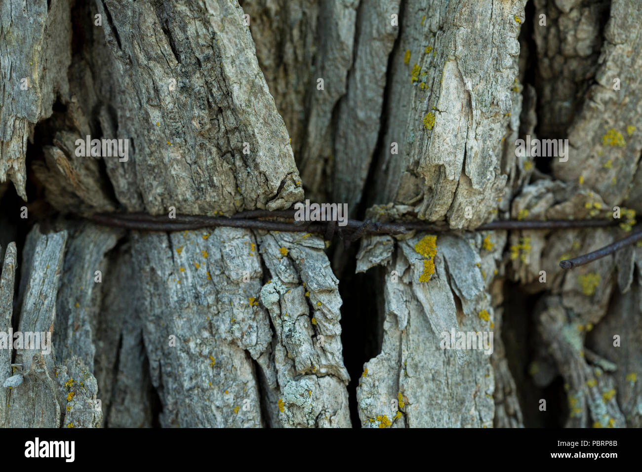 Old wire fence around building hi-res stock photography and images - Alamy