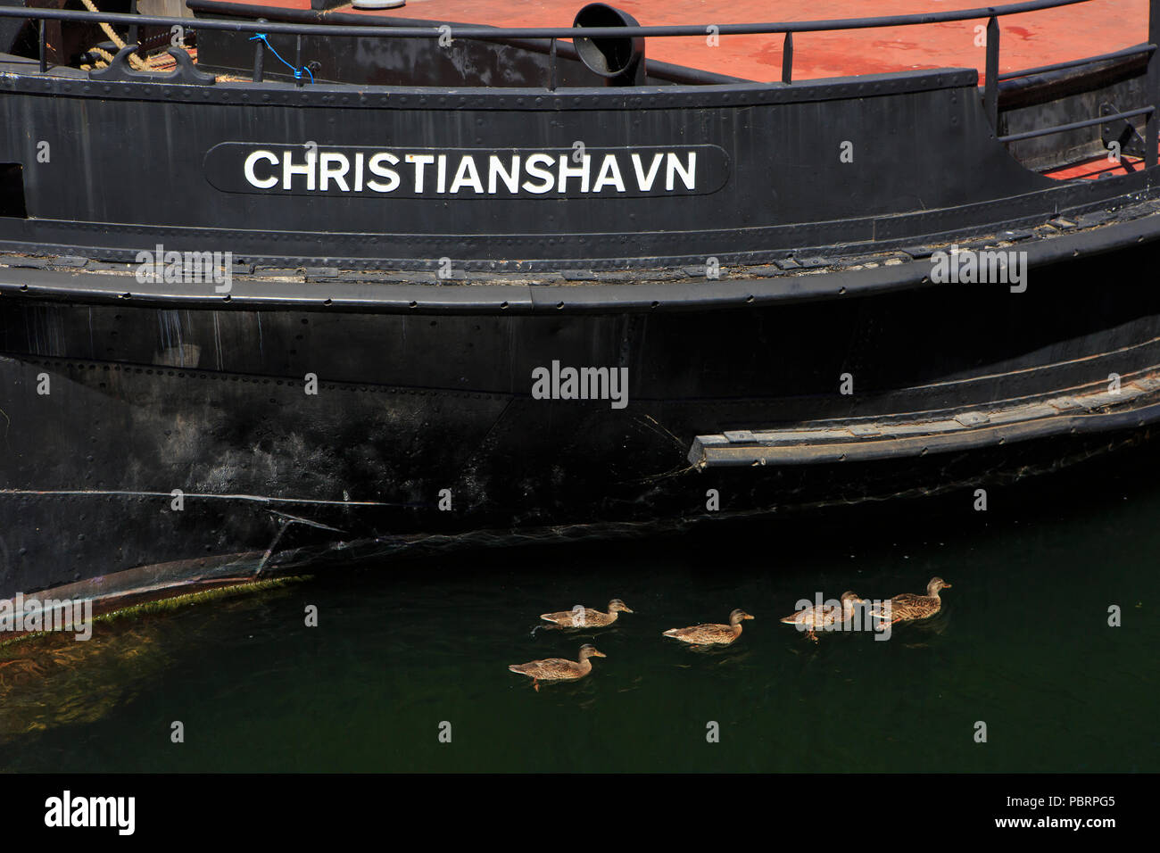 Ducks swimming past a moored barge along the main canal in ...