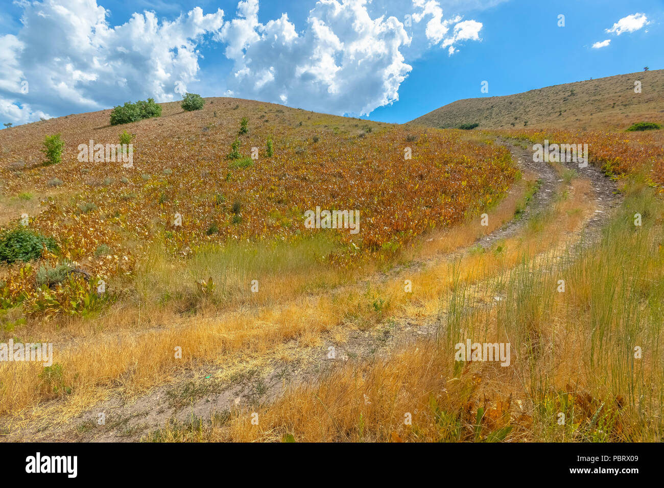Curved road in uphill hi-res stock photography and images - Alamy