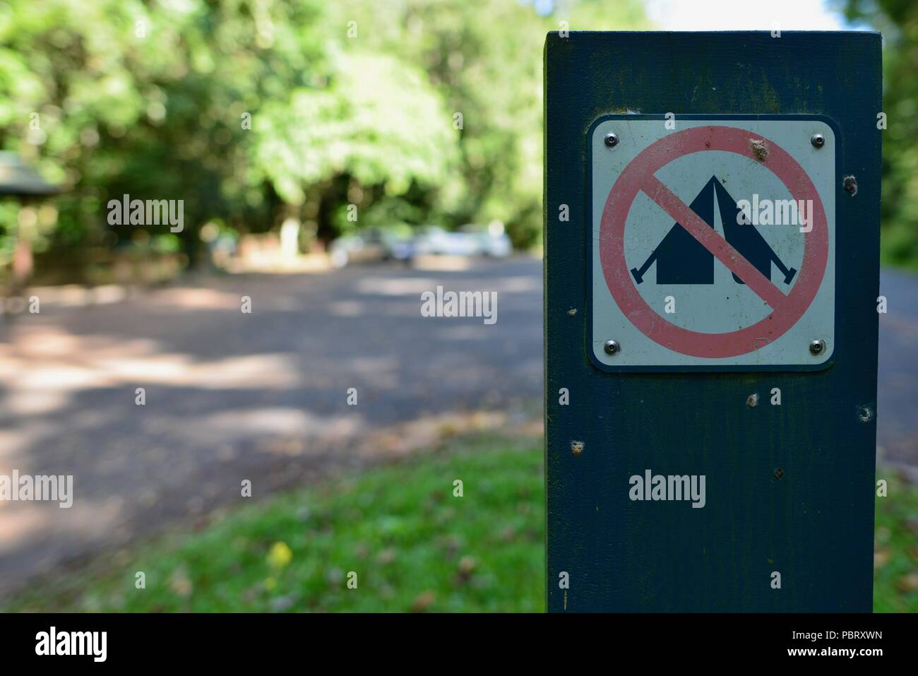 No camping sign at the Curtain Fig tree, curtain fig tree national park ...