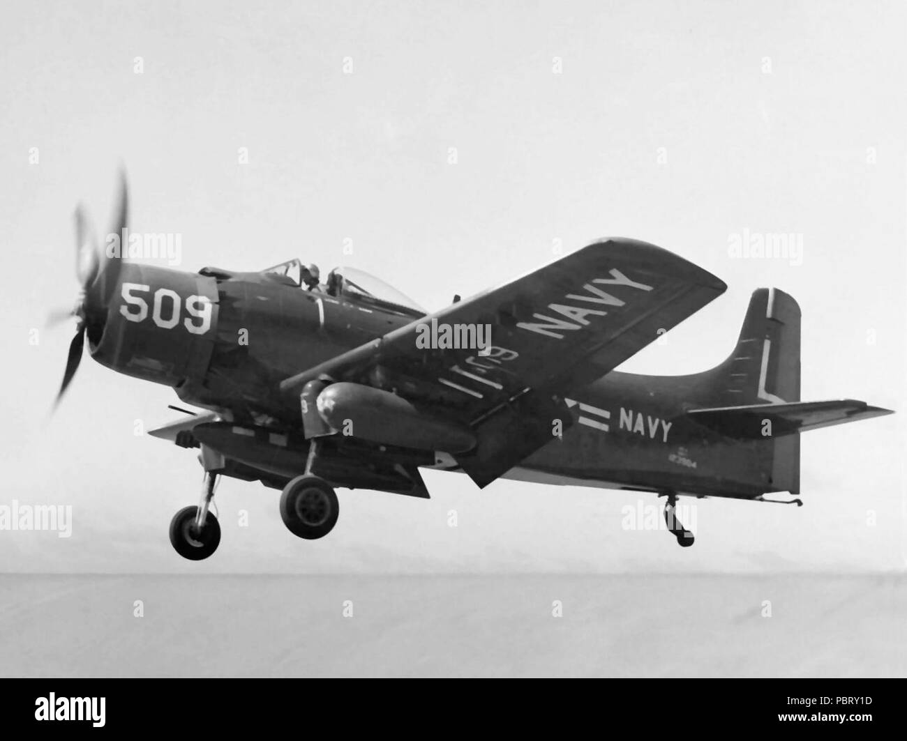 AD-4 Skyraider of VA-75 preparing to land c1953 Stock Photo - Alamy
