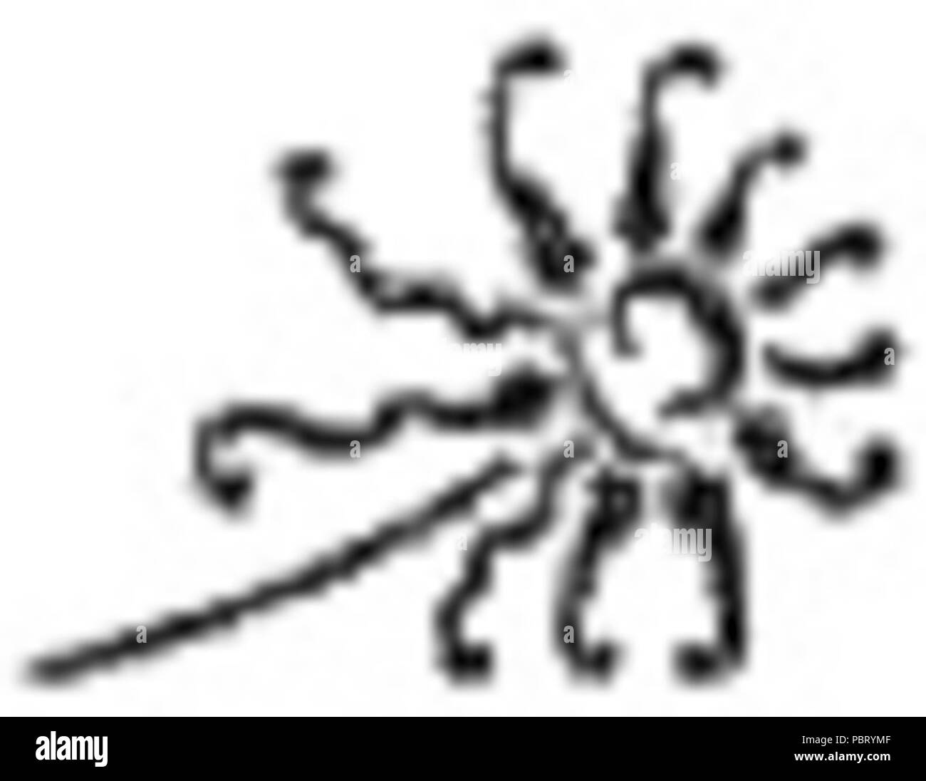 Adam asnyk hi-res stock photography and images - Alamy