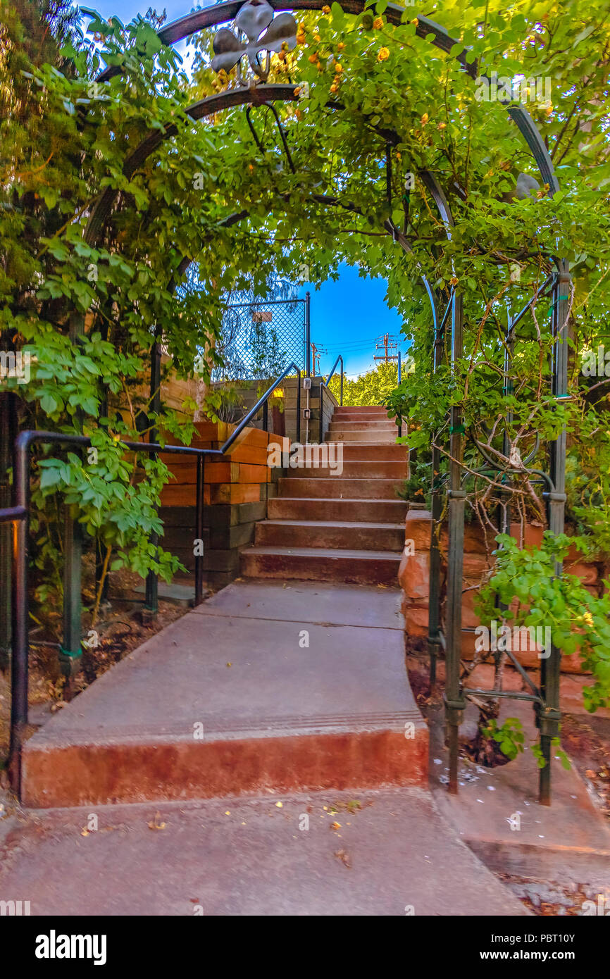 Foliage arch in garden with stiars and walkway j Stock Photo - Alamy
