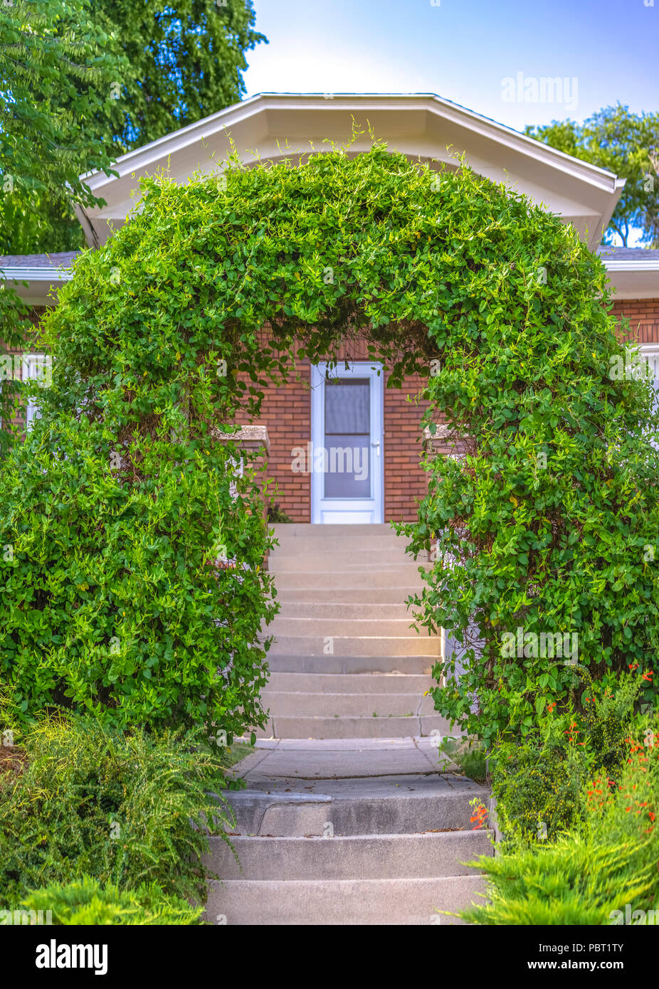 Garden arch with leaves and vines growing Stock Photo - Alamy