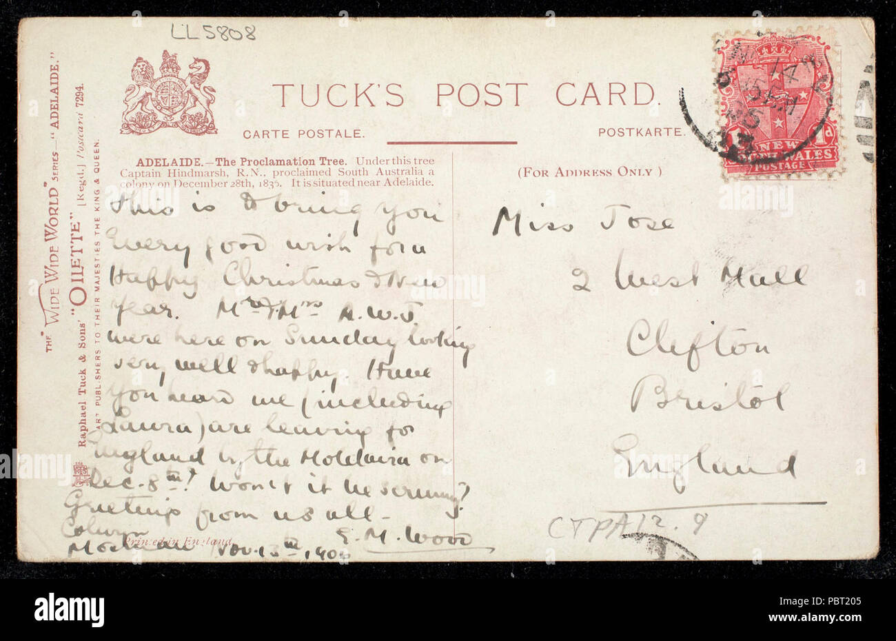 Proclamation tree hi-res stock photography and images - Alamy