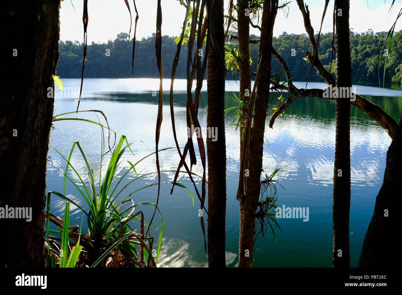 North lakes queensland hi-res stock photography and images - Alamy