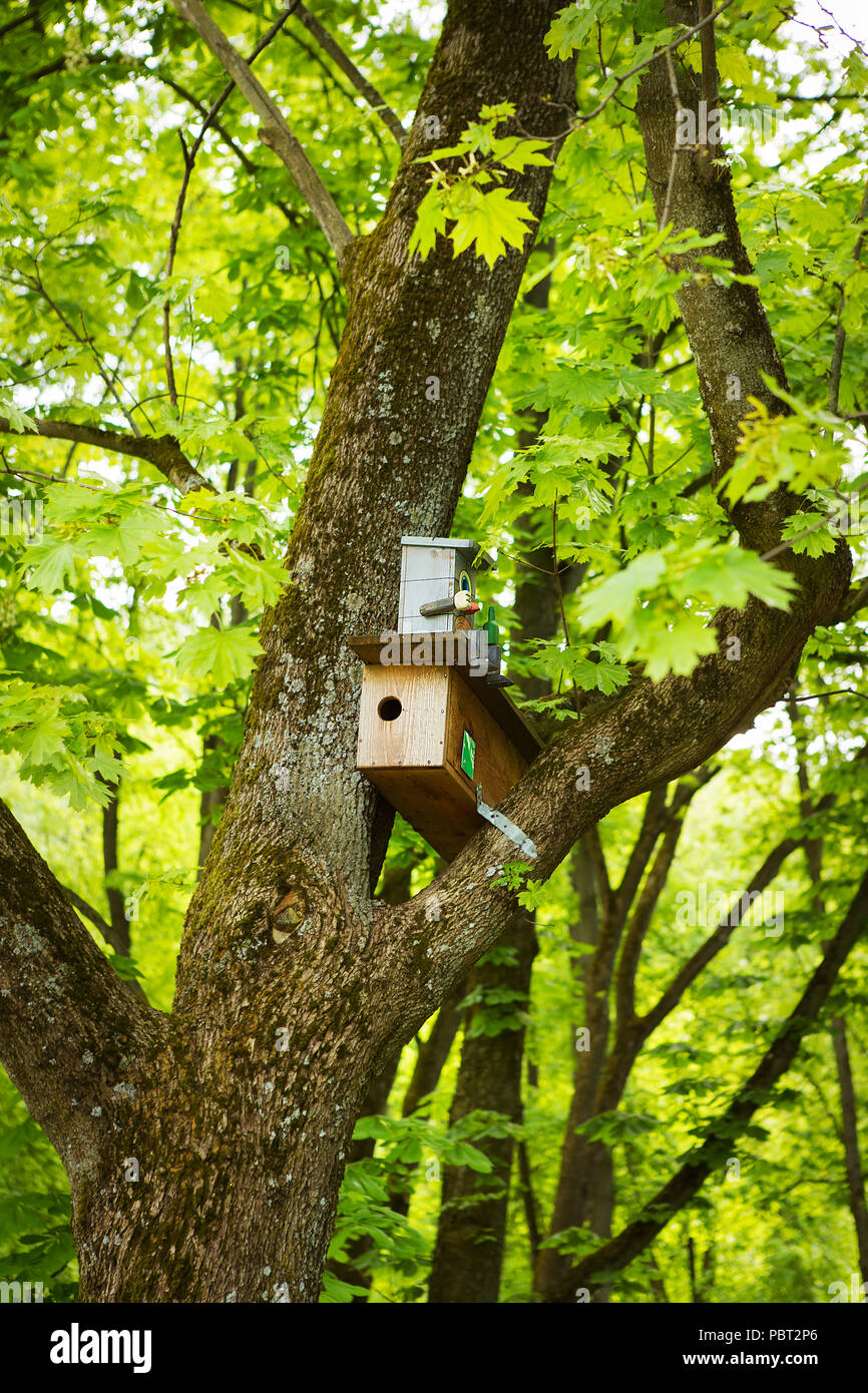 Tree branch house community hi-res stock photography and images - Alamy