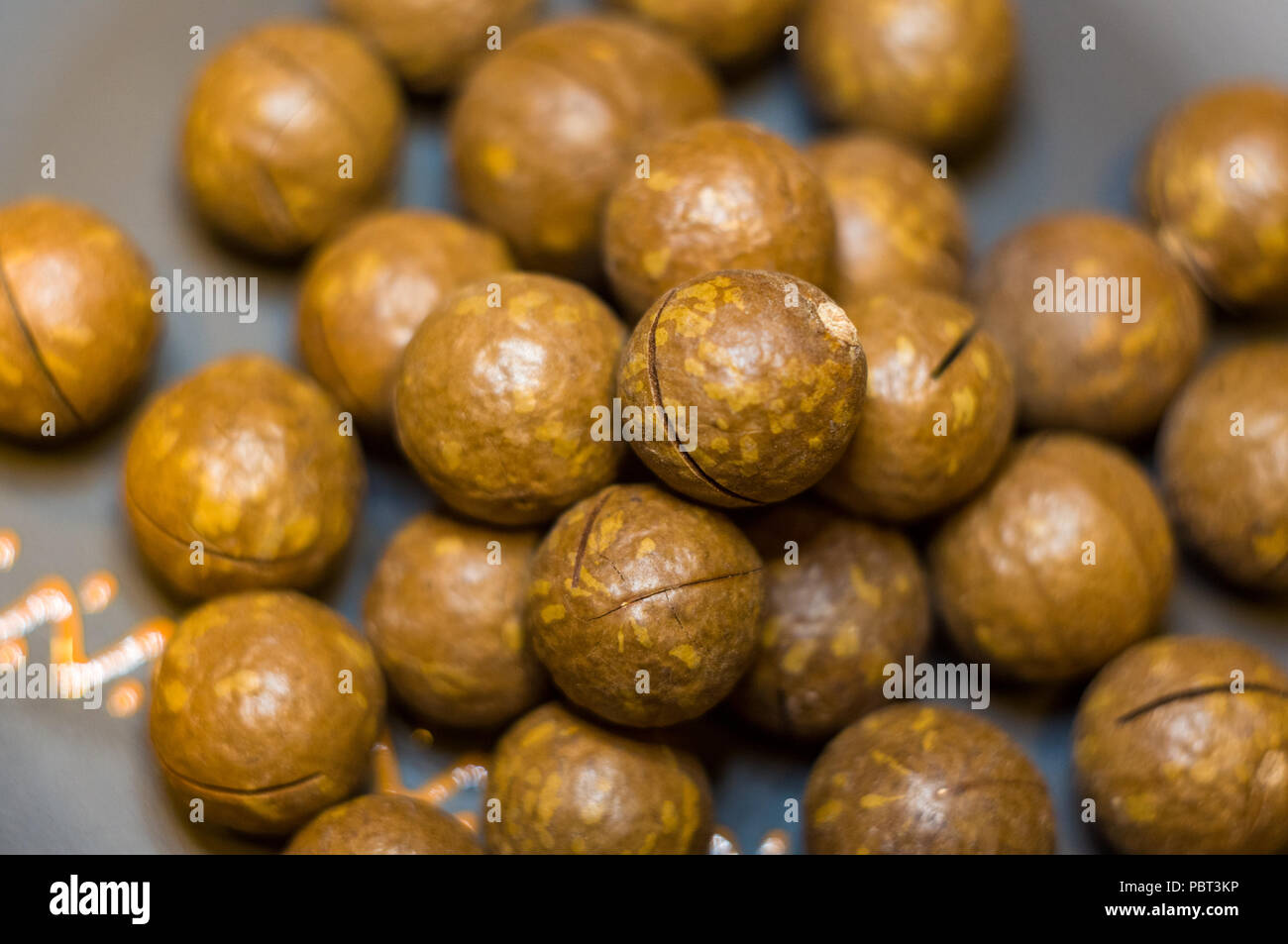 macadamia, Australian nut in a ceramic plate Stock Photo - Alamy