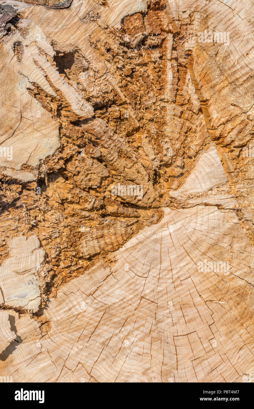 Fissures hi-res stock photography and images - Alamy