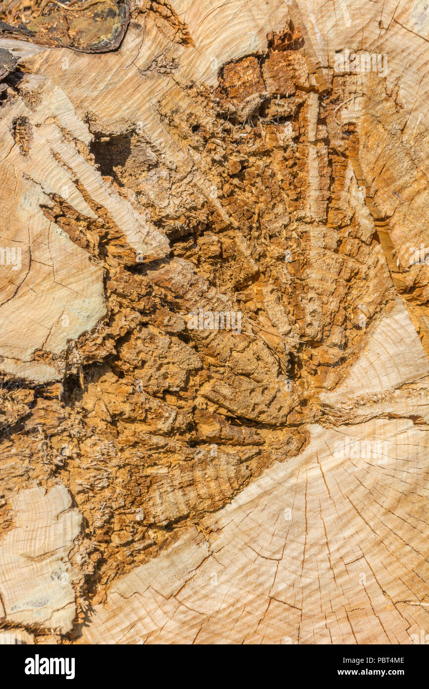 Fissures hi-res stock photography and images - Alamy