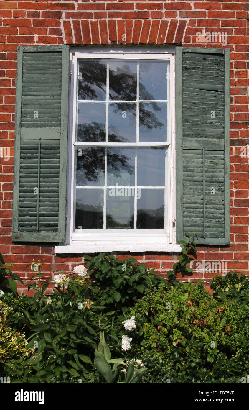 House garden wall ivy illustration hi-res stock photography and images ...