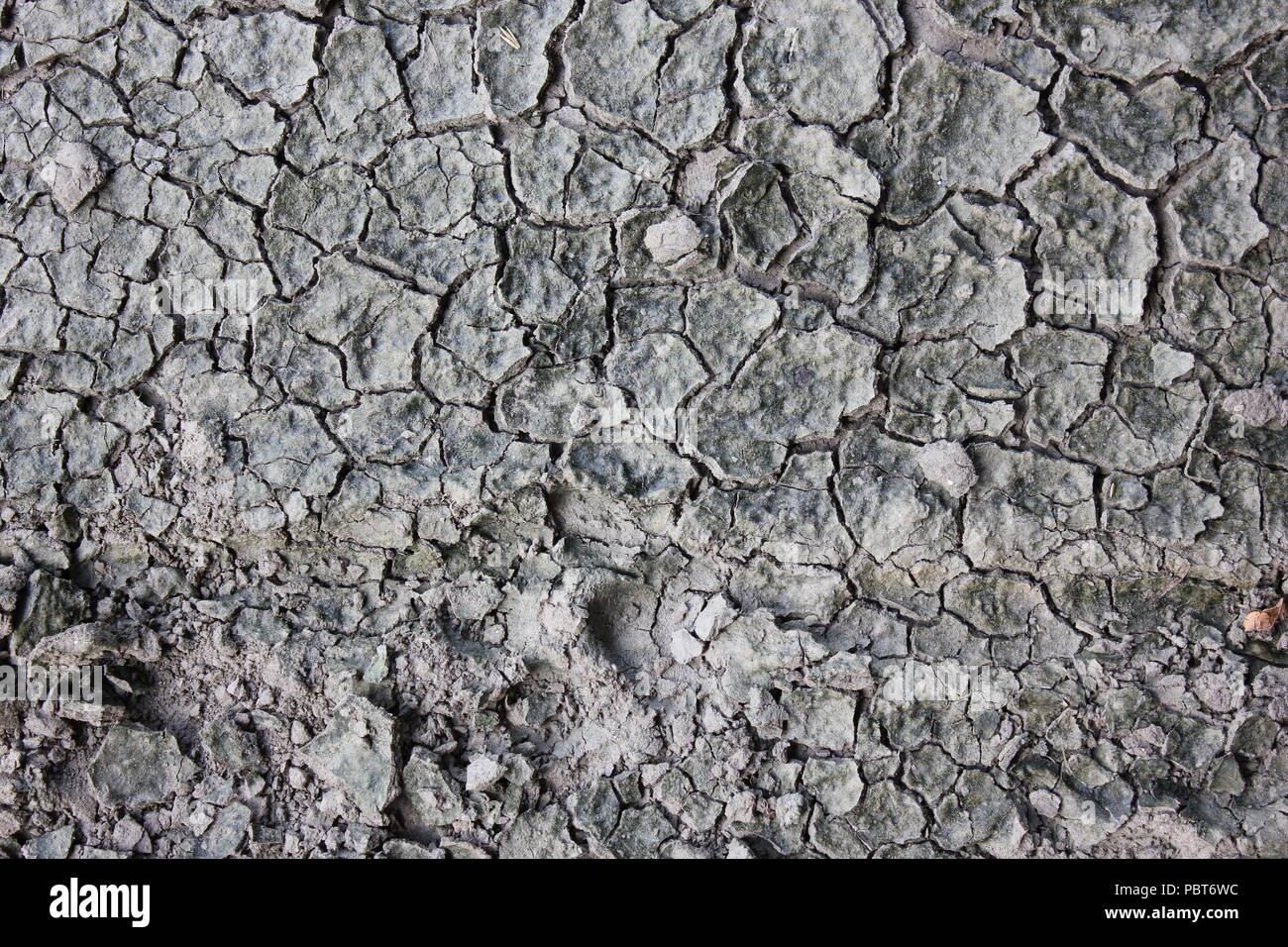 Drying Mud Texture High Resolution Stock Photography and Images - Alamy