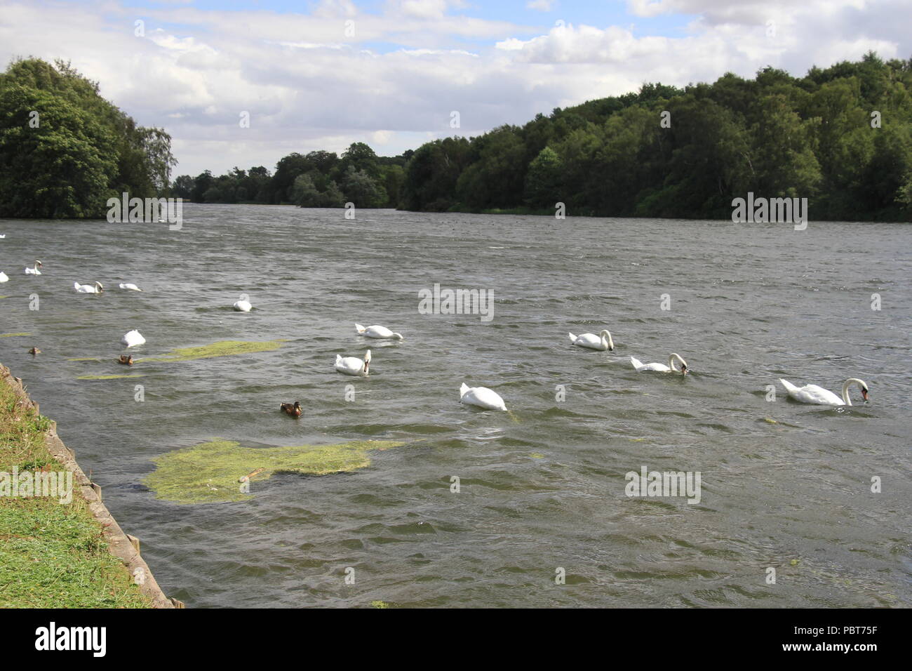 Clumber park tourism hi-res stock photography and images - Alamy