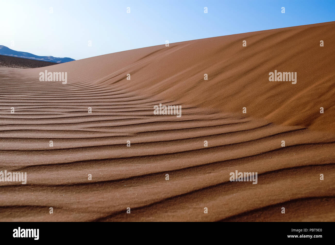 Landscape of sand dunes in the desert of Rub' Al Khali in the Arabian ...