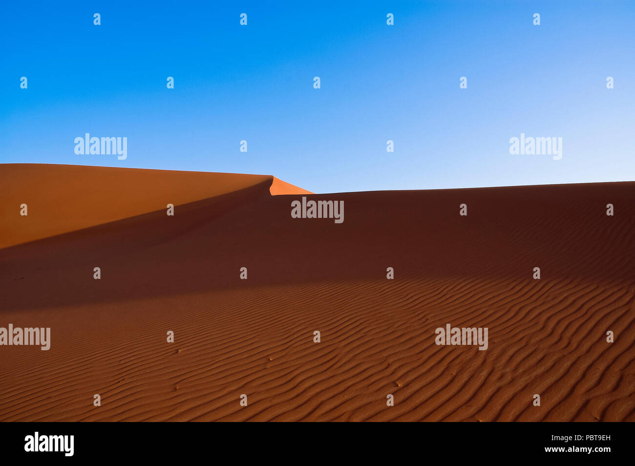 Landscape of sand dunes in the desert of Rub' Al Khali in the Arabian ...
