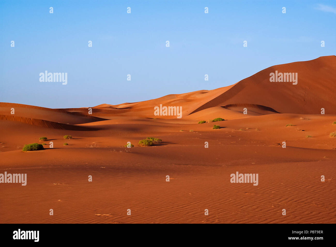 Landscape of sand dunes in the desert of Rub' Al Khali in the Arabian ...