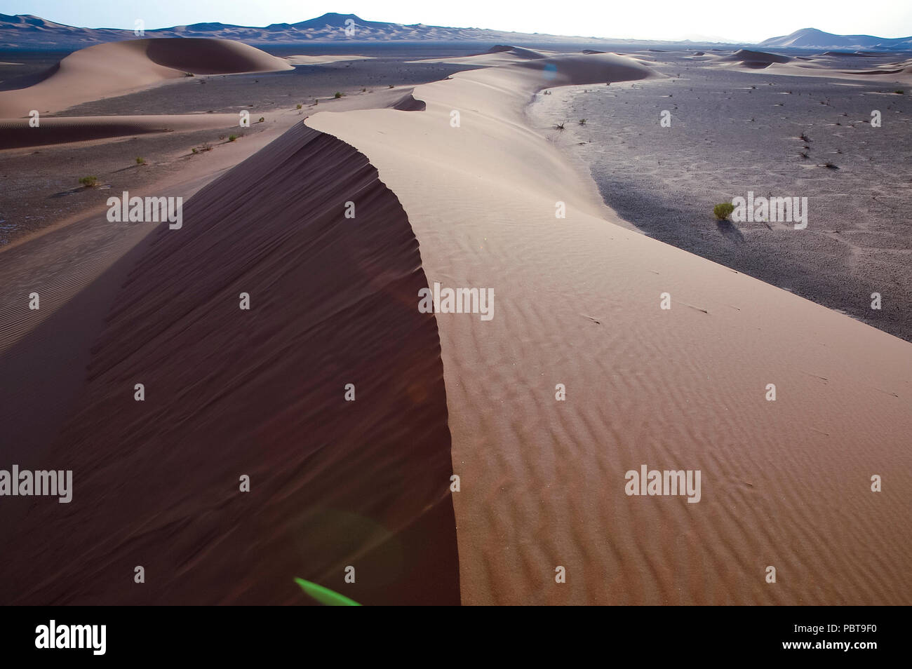 Landscape of sand dunes in the desert of Rub' Al Khali in the Arabian ...