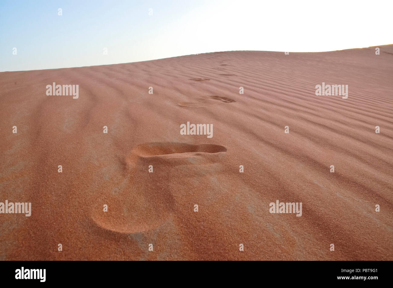 Footstep in sahara desert hi-res stock photography and images - Alamy