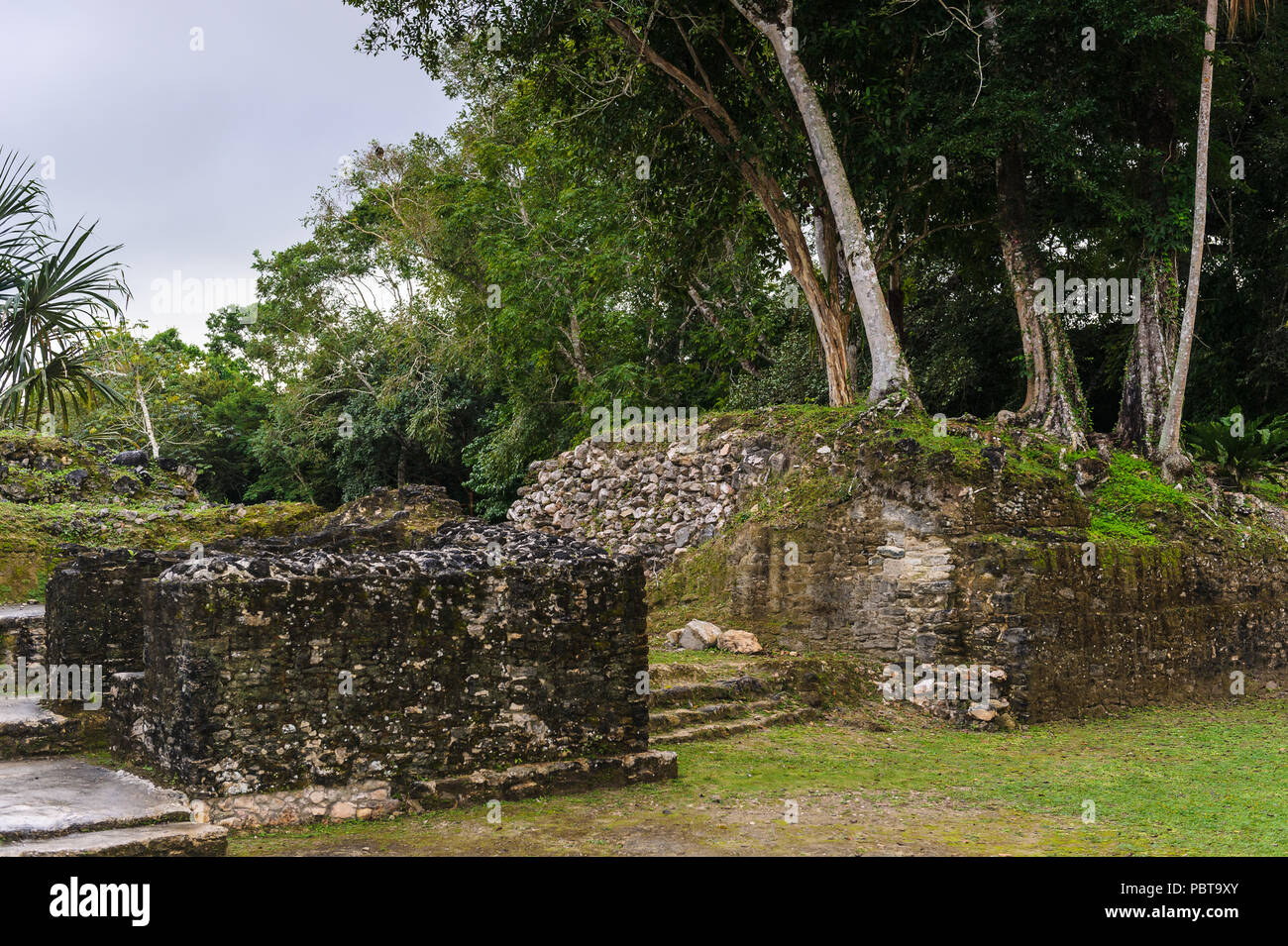 Ruins of the Mayan Civilization Stock Photo - Alamy