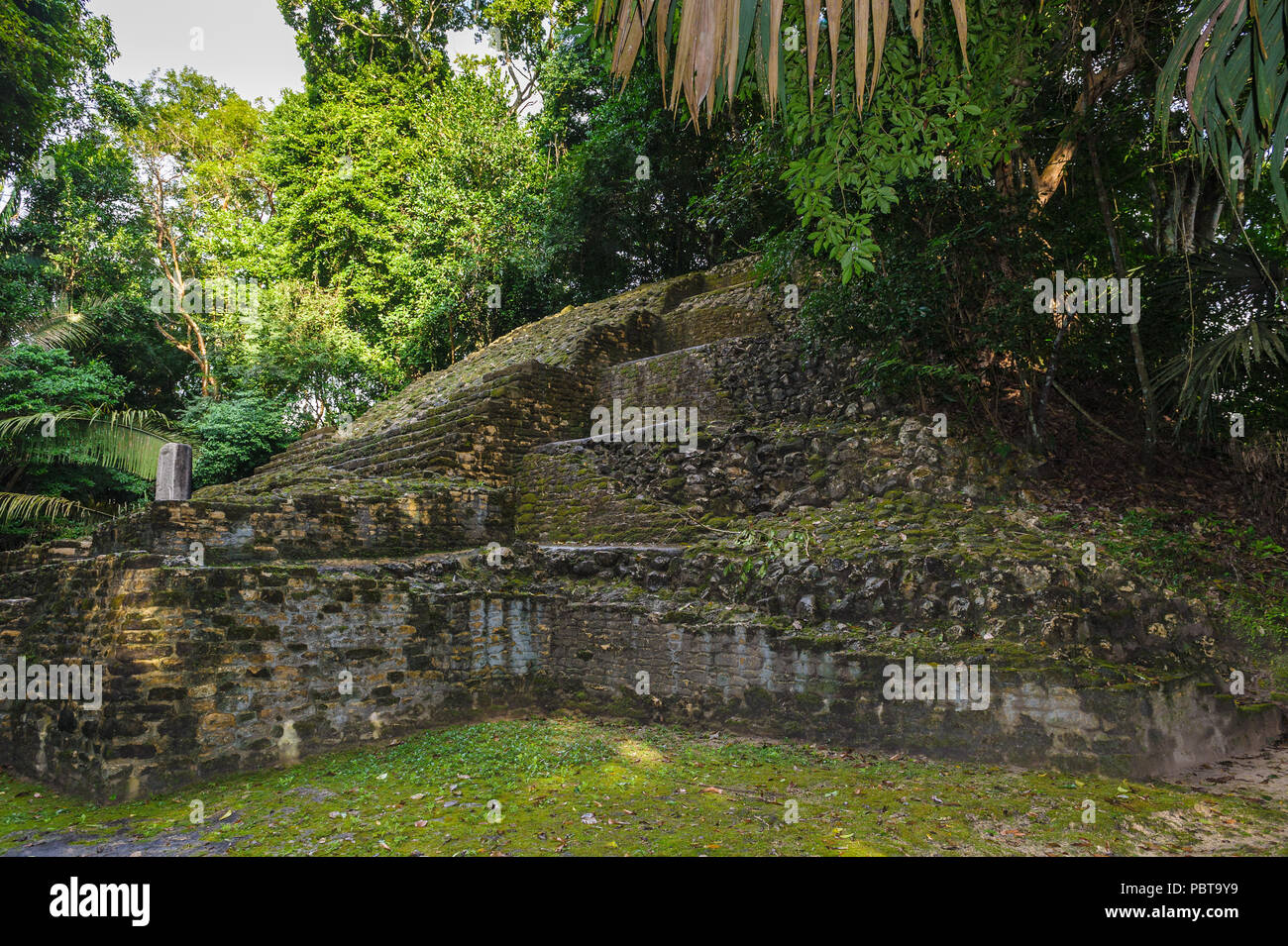 Ruins of the Mayan Civilization Stock Photo - Alamy