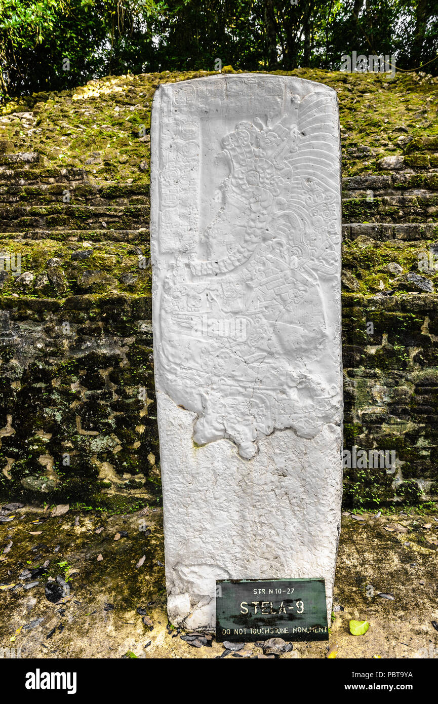 Stone with Mayan inscriptions Stock Photo - Alamy