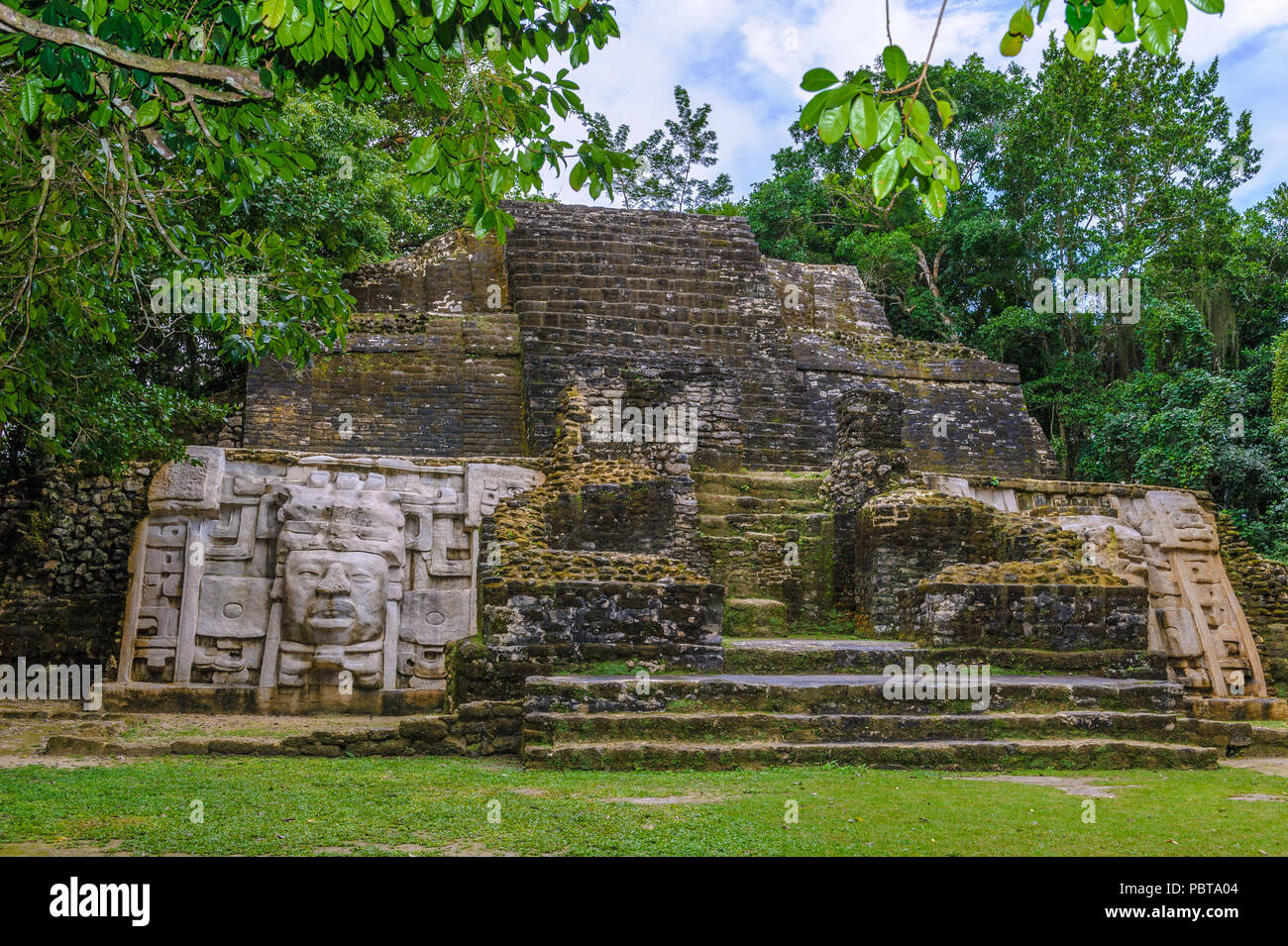 Maya temple in the rain forest Stock Photo - Alamy