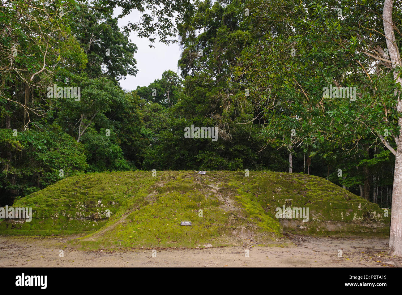 Pyramid of Mundo Perdido, the largest ceremonial complex dating from ...