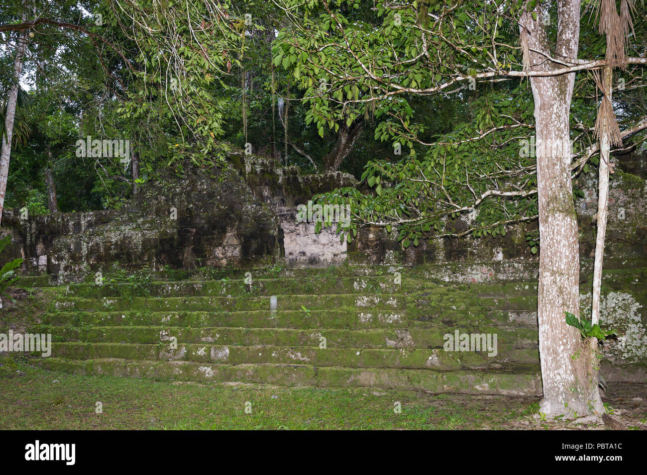 Part of Mayan city of Tikal, Mundo Perdido, Guatemala Stock Photo - Alamy
