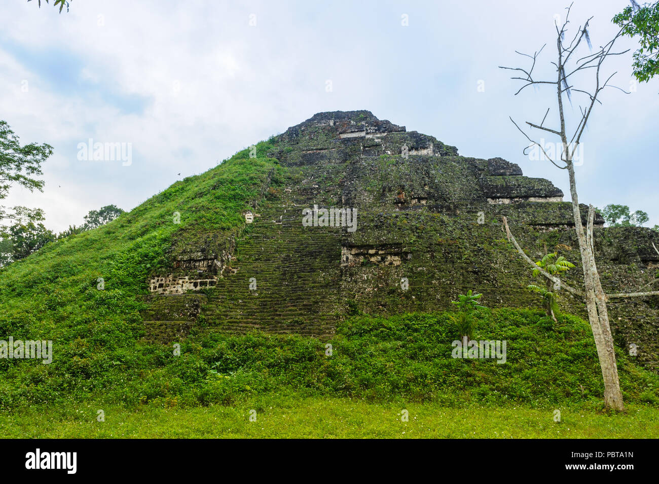 Mayan Pyramid in Guademala Stock Photo - Alamy