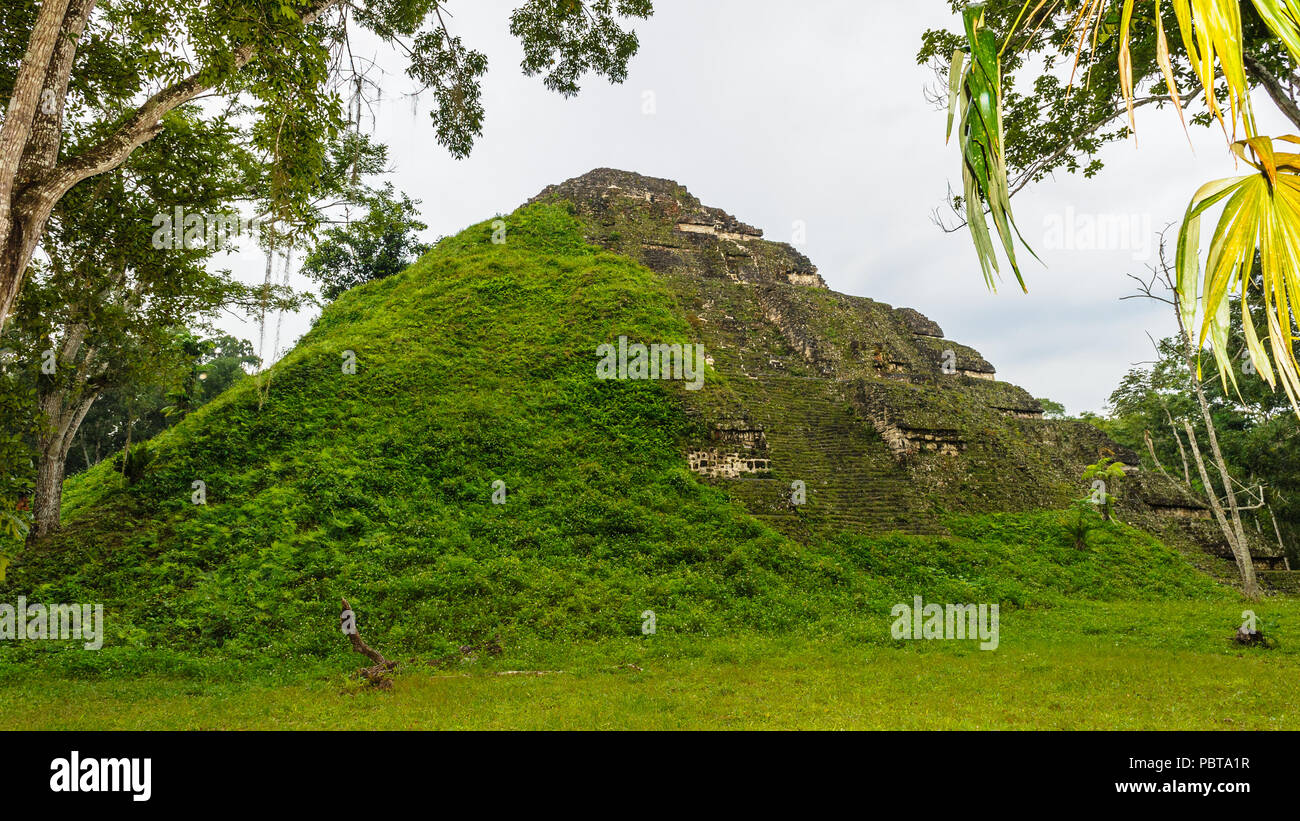 Lost world mayan largest ceremonial complex Stock Photo - Alamy