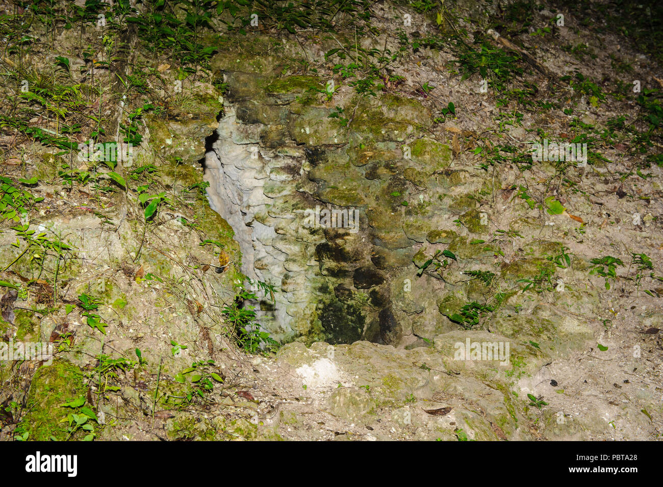 Nature on Maya civilization, Mundo Perdido, Guatemala Stock Photo - Alamy