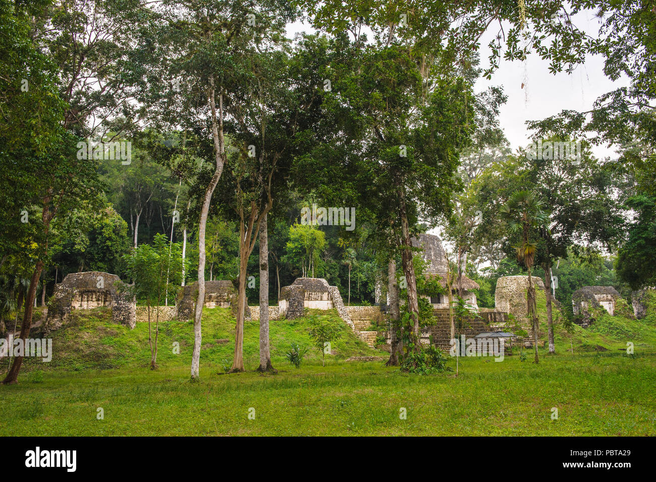 Nature on Plaza of Seven Temples, Maya civilization, Mundo Perdido ...