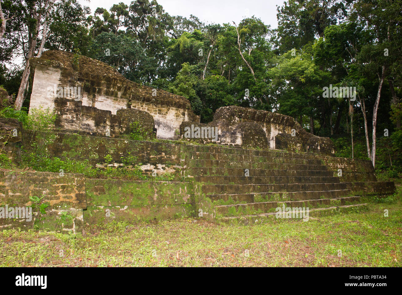 Mayan temple complex at tikal hi-res stock photography and images - Alamy