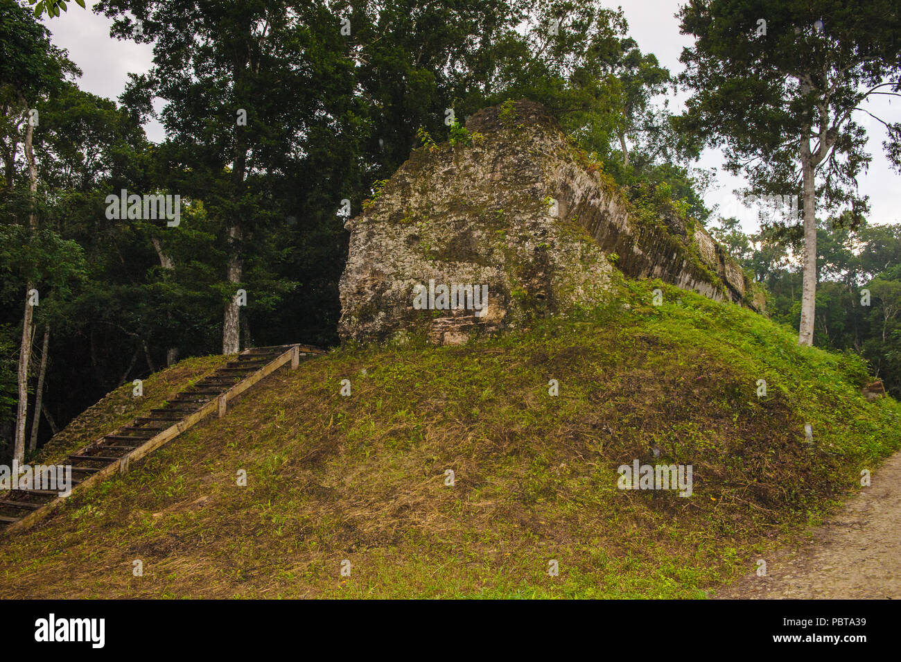 Stone ruins of Tikal, Guatemala Stock Photo - Alamy