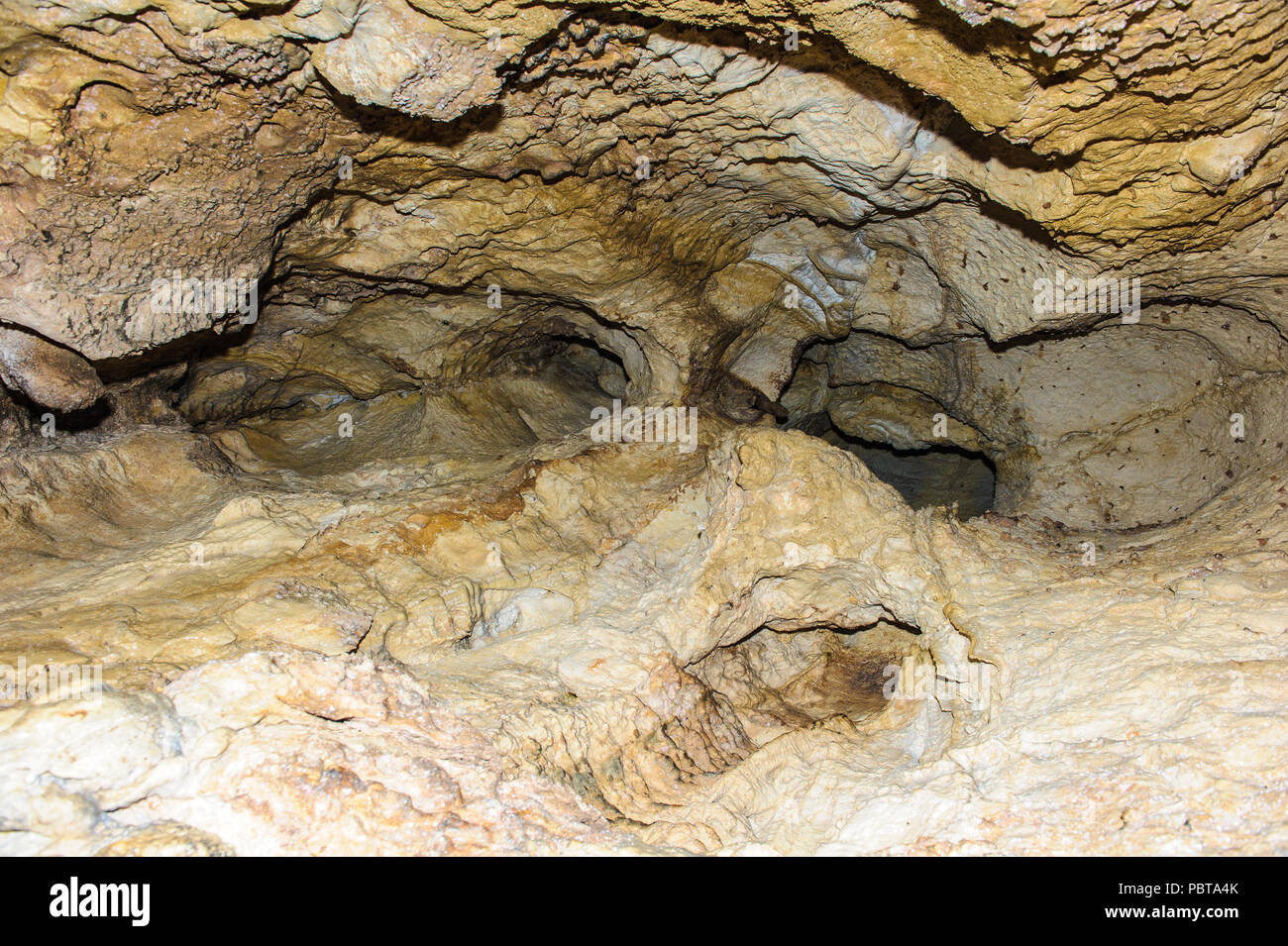 Surface of a cave in SOuth America Stock Photo - Alamy