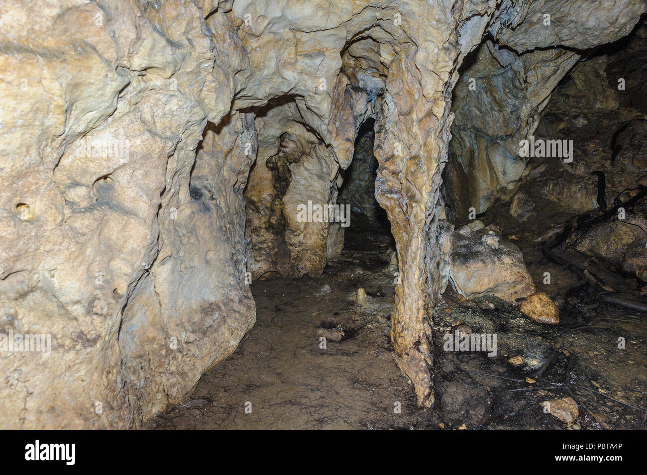 South American cave in Guatemala Stock Photo - Alamy