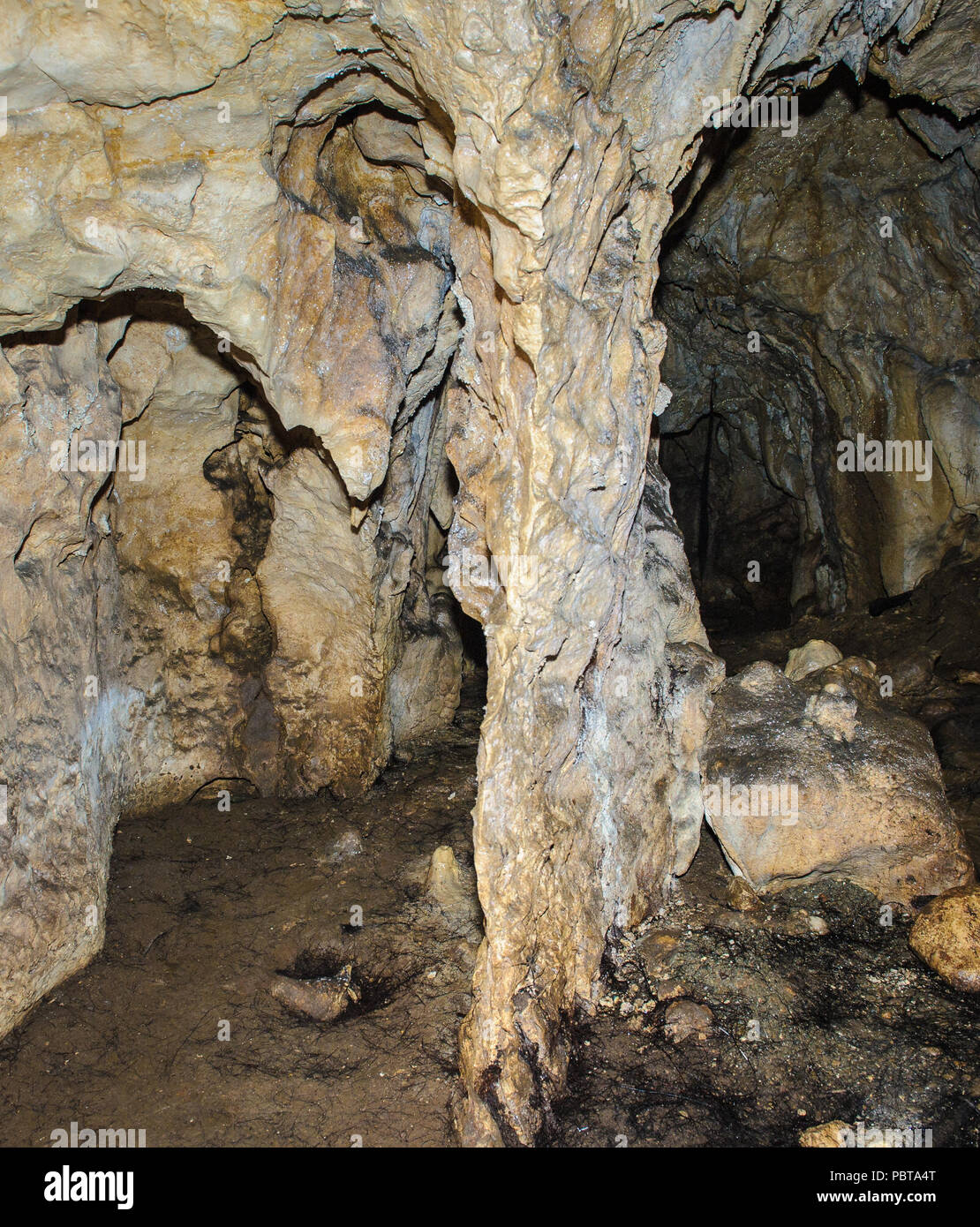 South American cave in Guatemala Stock Photo - Alamy