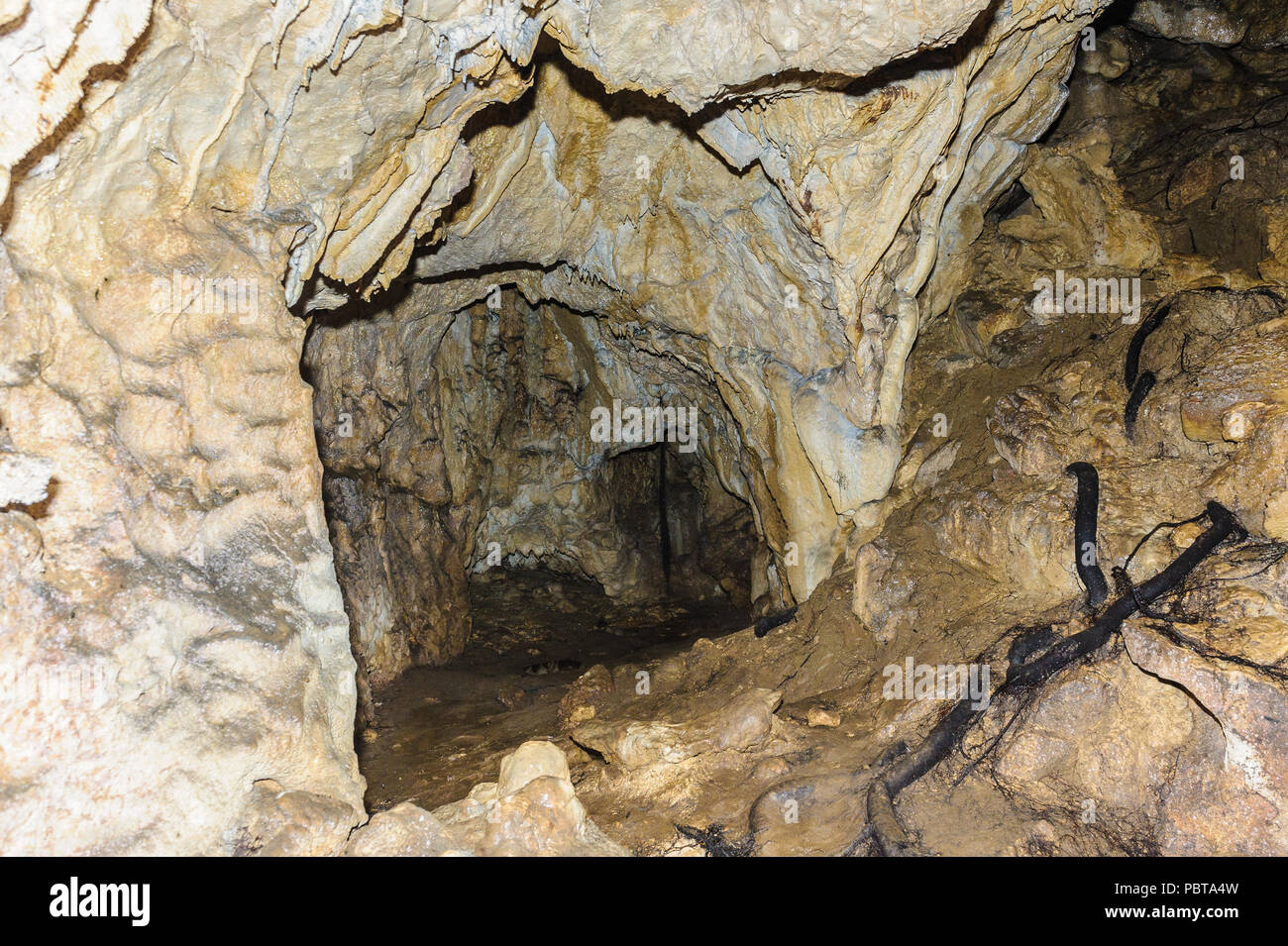 South American cave in Guatemala Stock Photo - Alamy