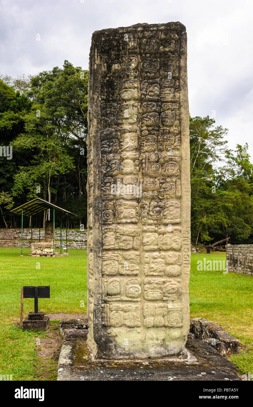 One of the stelas of Copan, an archaeological site of the Maya civilization, Honduras Stock ...