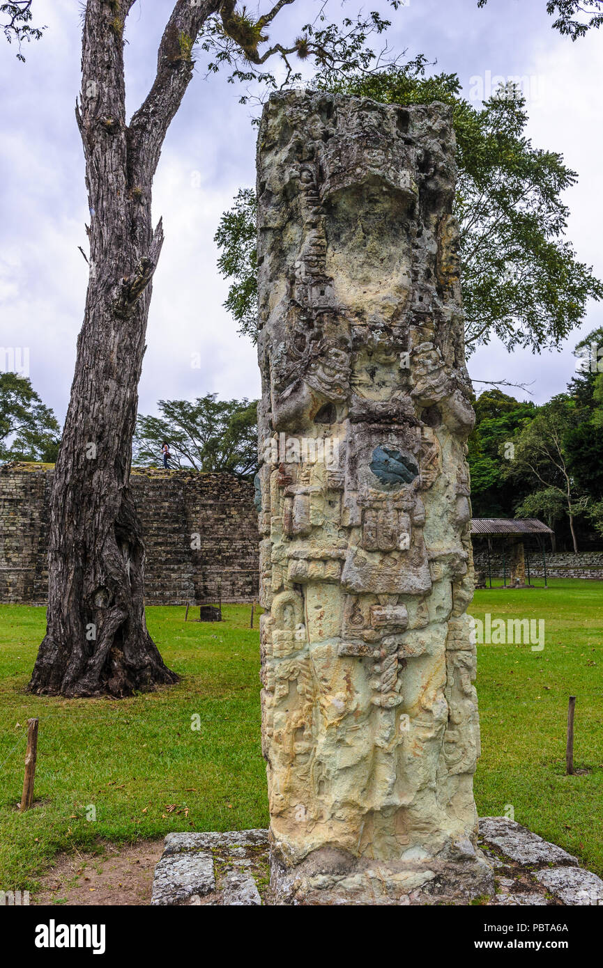 One of the stelas of Copan, an archaeological site of the Maya civilization, Honduras Stock ...