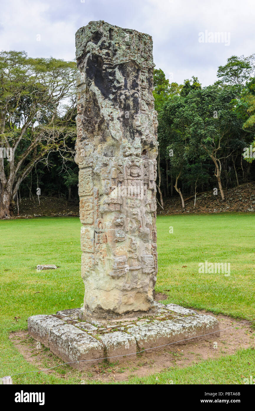 One of the stelas of Copan, an archaeological site of the Maya ...