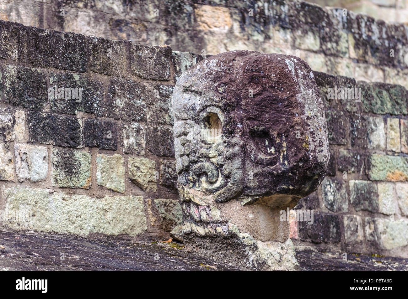 Mayan glyphs of ruins of Copan, UNESCO World Heritage Site, Honduras ...