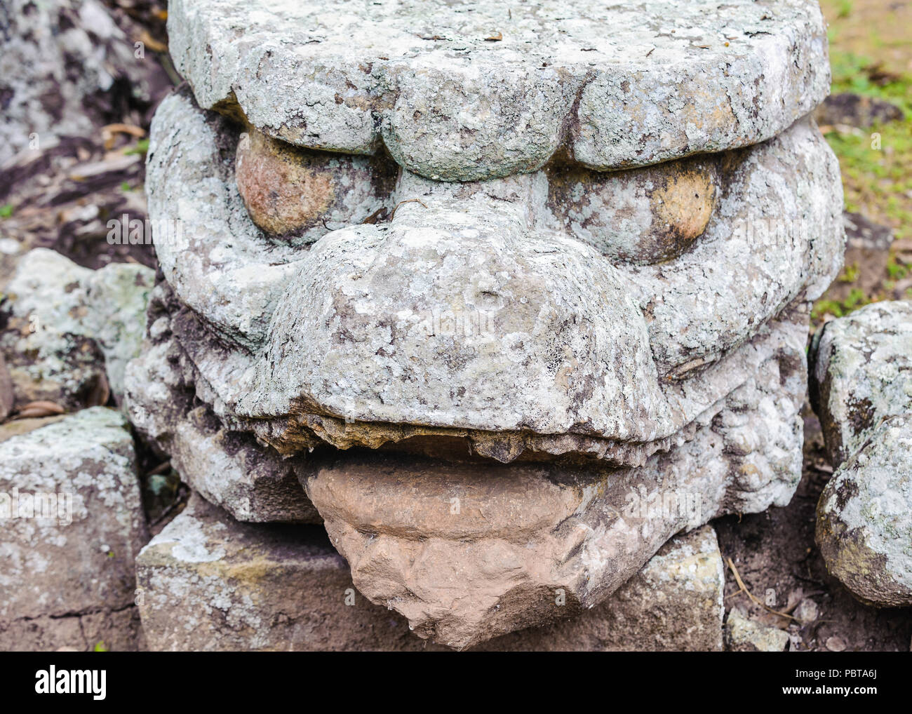 Mayan glyphs of ruins of Copan, UNESCO World Heritage Site, Honduras ...