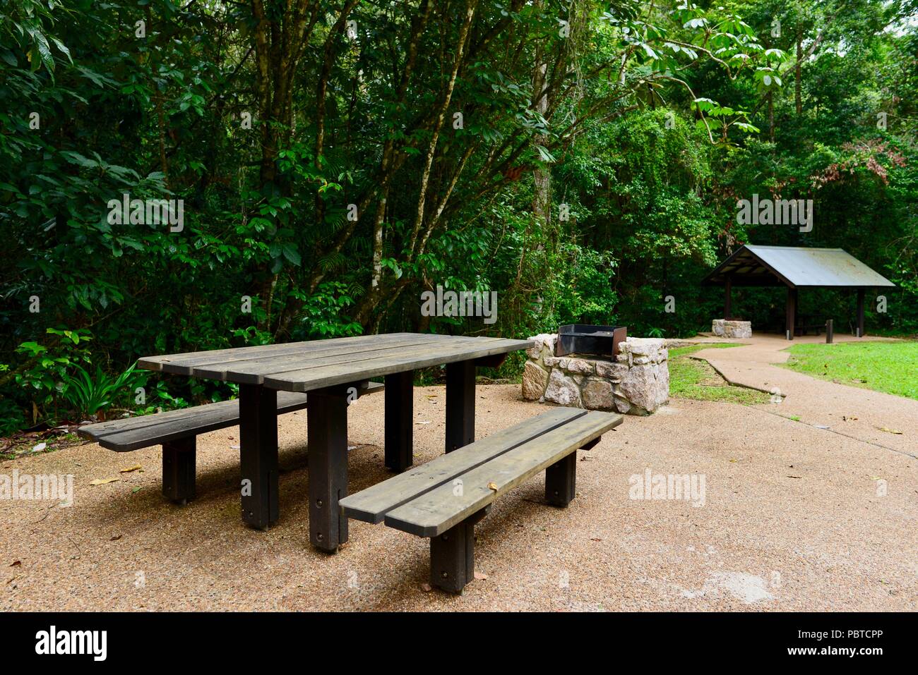 A wooden bench and picnic table at the Kauri Creek day use area, Jungal ...