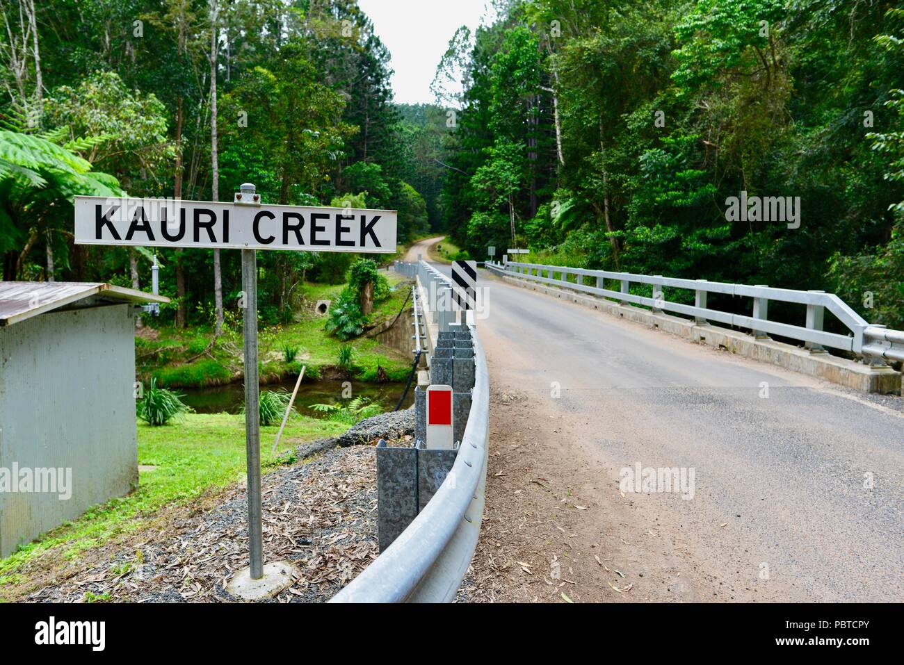 Kauri Creek sign, Jungal Jungal, Danbulla, Tablelands Region, Far North ...