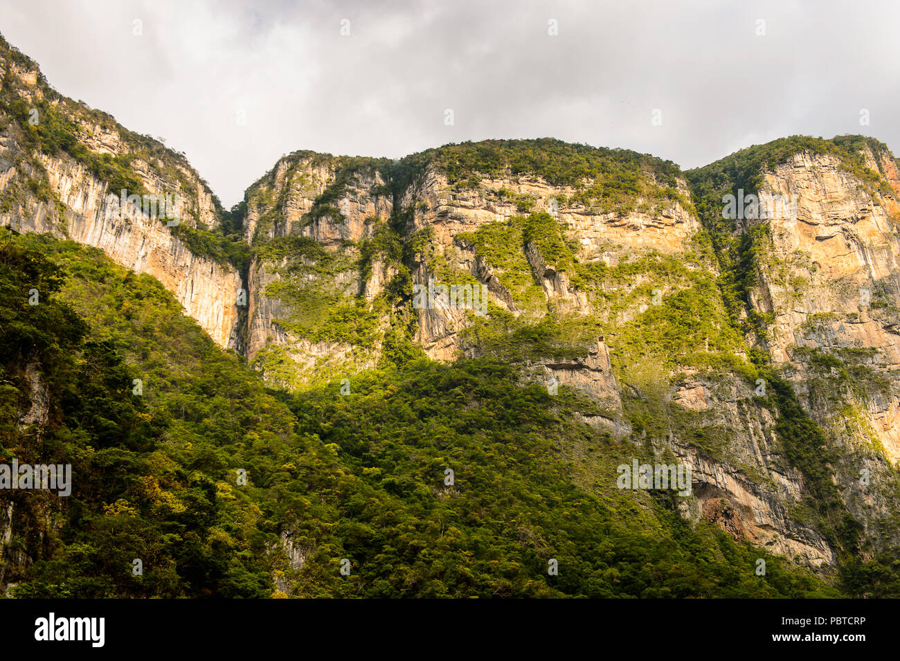 Cloud forest mexico river hi-res stock photography and images - Alamy