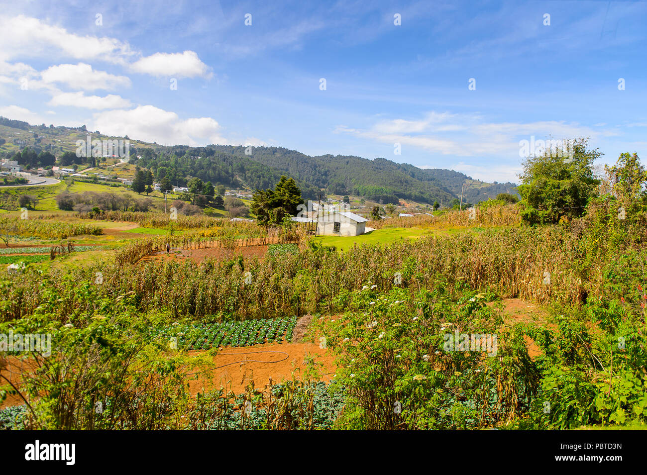 Nature near San Juan Chamula, state of Chiapas, Mexico Stock Photo - Alamy