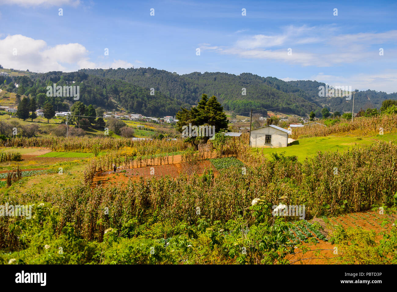 Nature near San Juan Chamula, state of Chiapas, Mexico Stock Photo - Alamy
