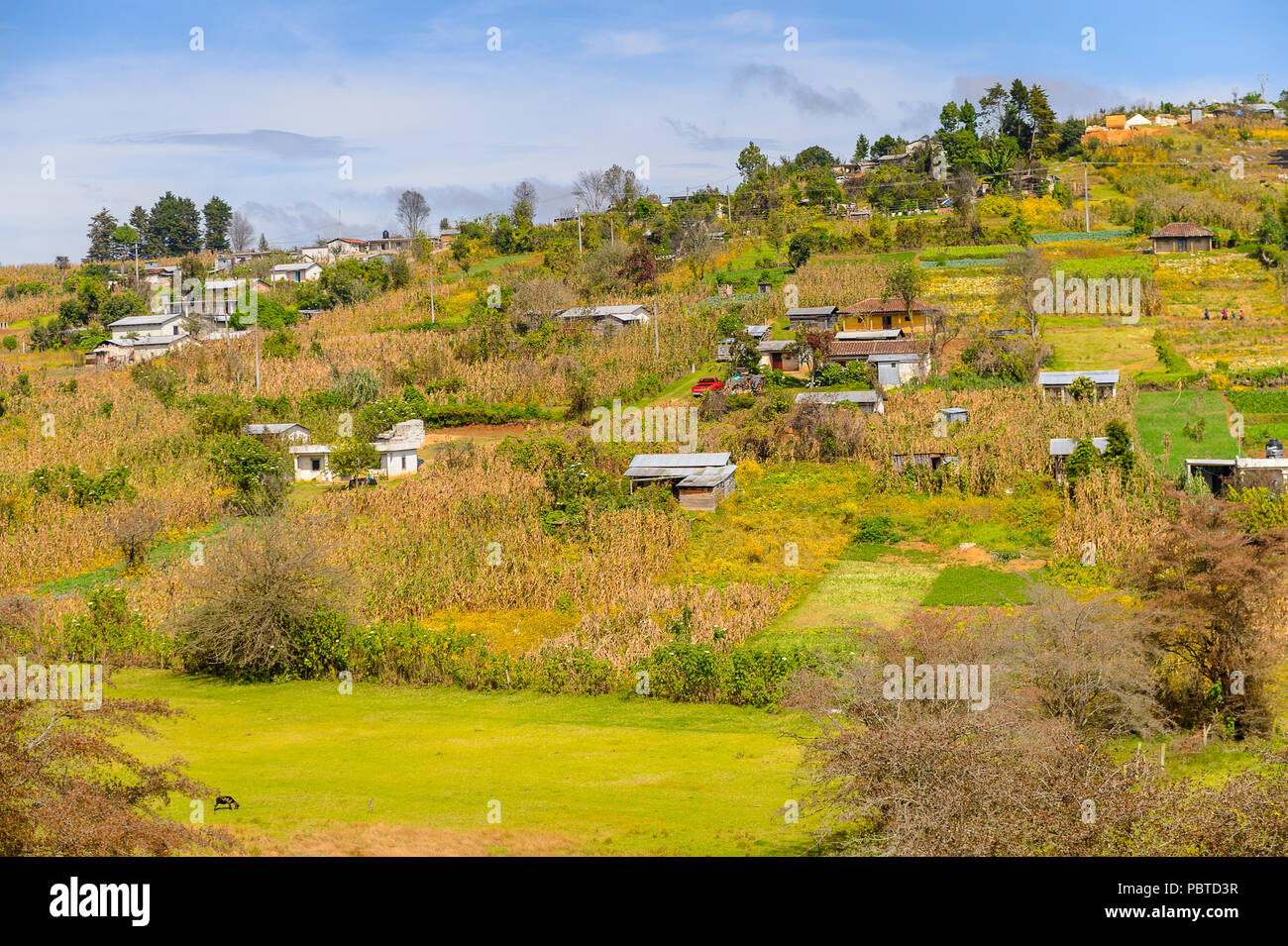 Nature near San Juan Chamula, state of Chiapas, Mexico Stock Photo - Alamy