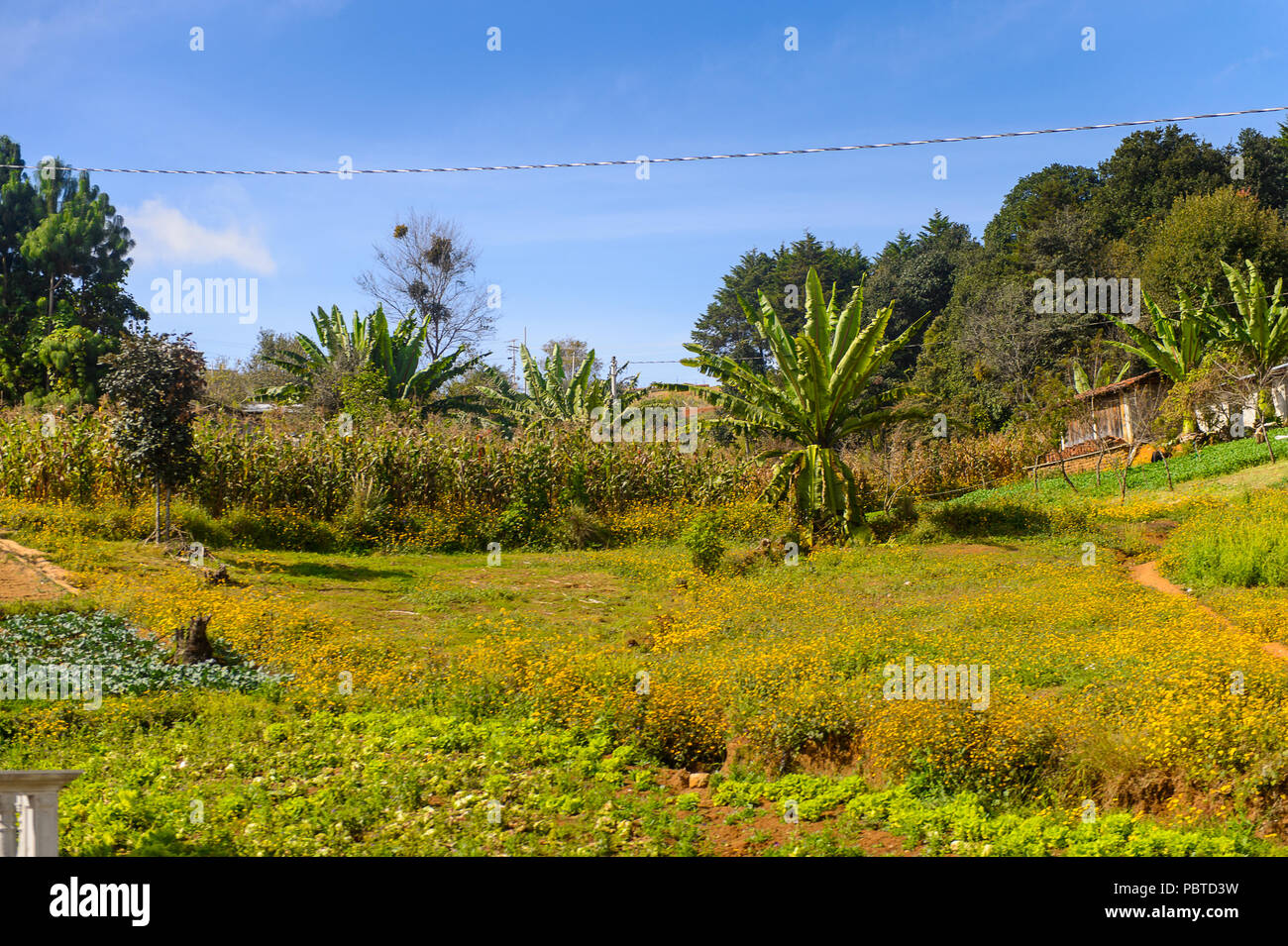 Nature near San Juan Chamula, state of Chiapas, Mexico Stock Photo - Alamy